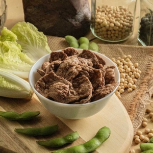 Textured soy protein | 遠哲有限公司